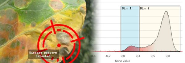 Digital disease quantification with PlantEye imaging sensor plant ...