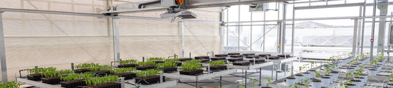 Automated Biostimulant Screening - PHENOSPEX